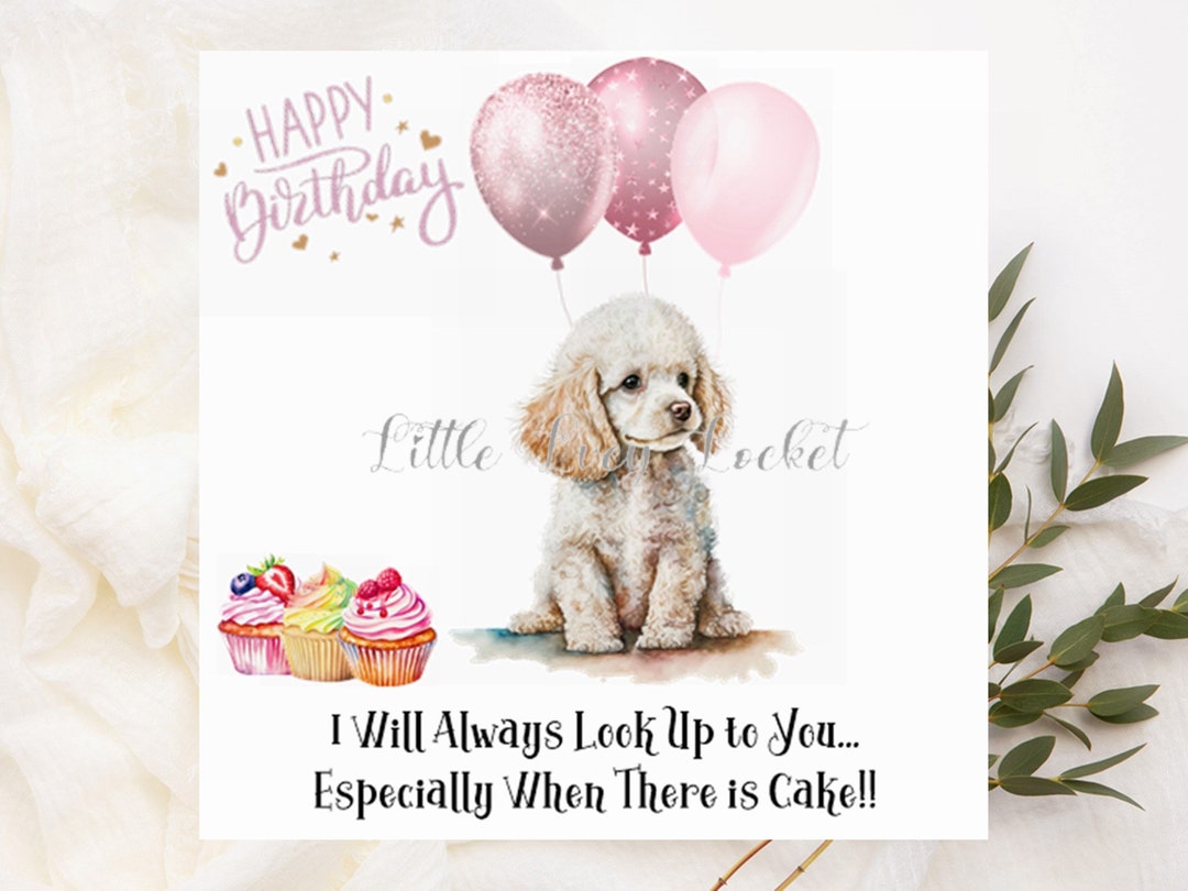 POODLE Birthday Card-dog Birthday Card-pretty Poodle With Pink Balloons ...