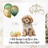Cavapoo - Etsy UK