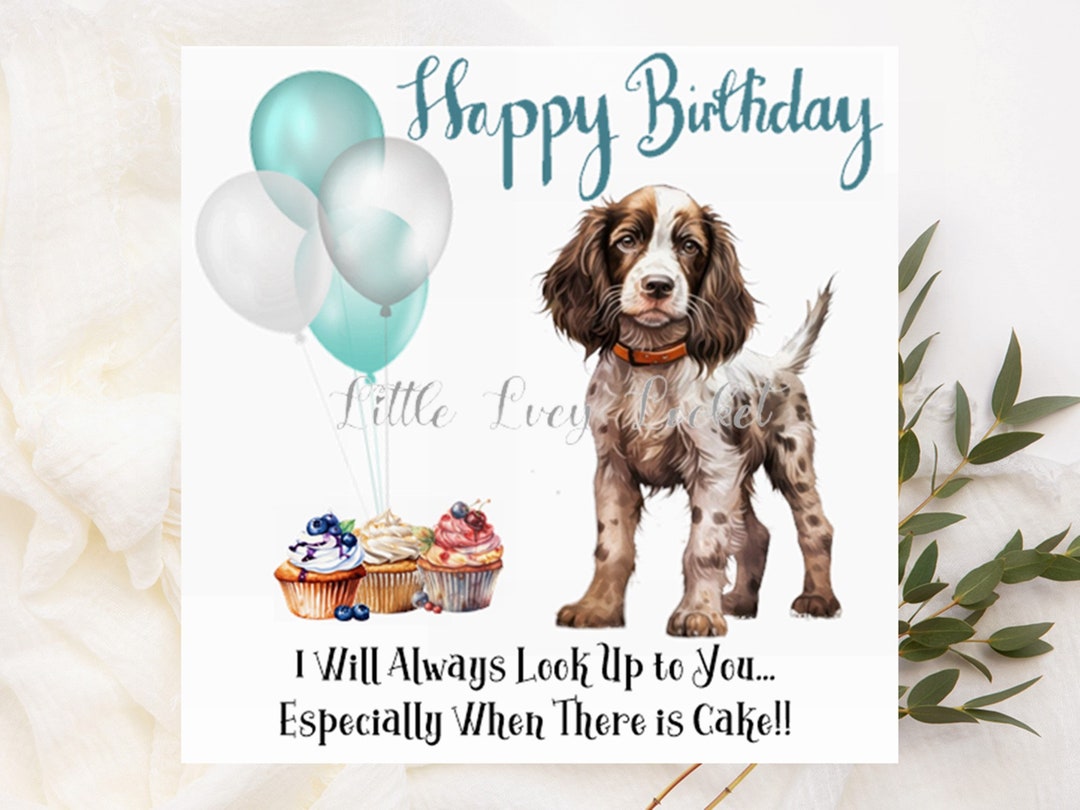 SPRINGER SPANIEL Birthday Card-dog Birthday Card-balloons & Cupcakes ...