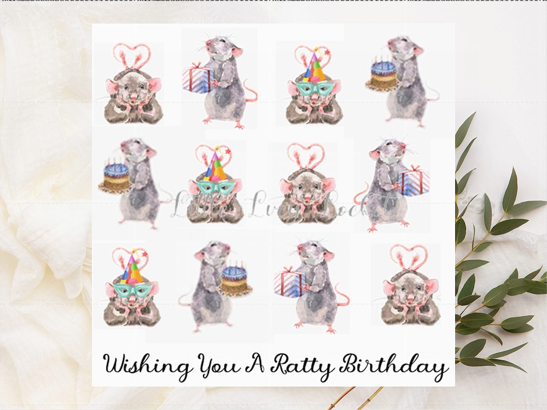 Rat Birthday Card-wishing You a Ratty Birthday-multi Arrangement of ...