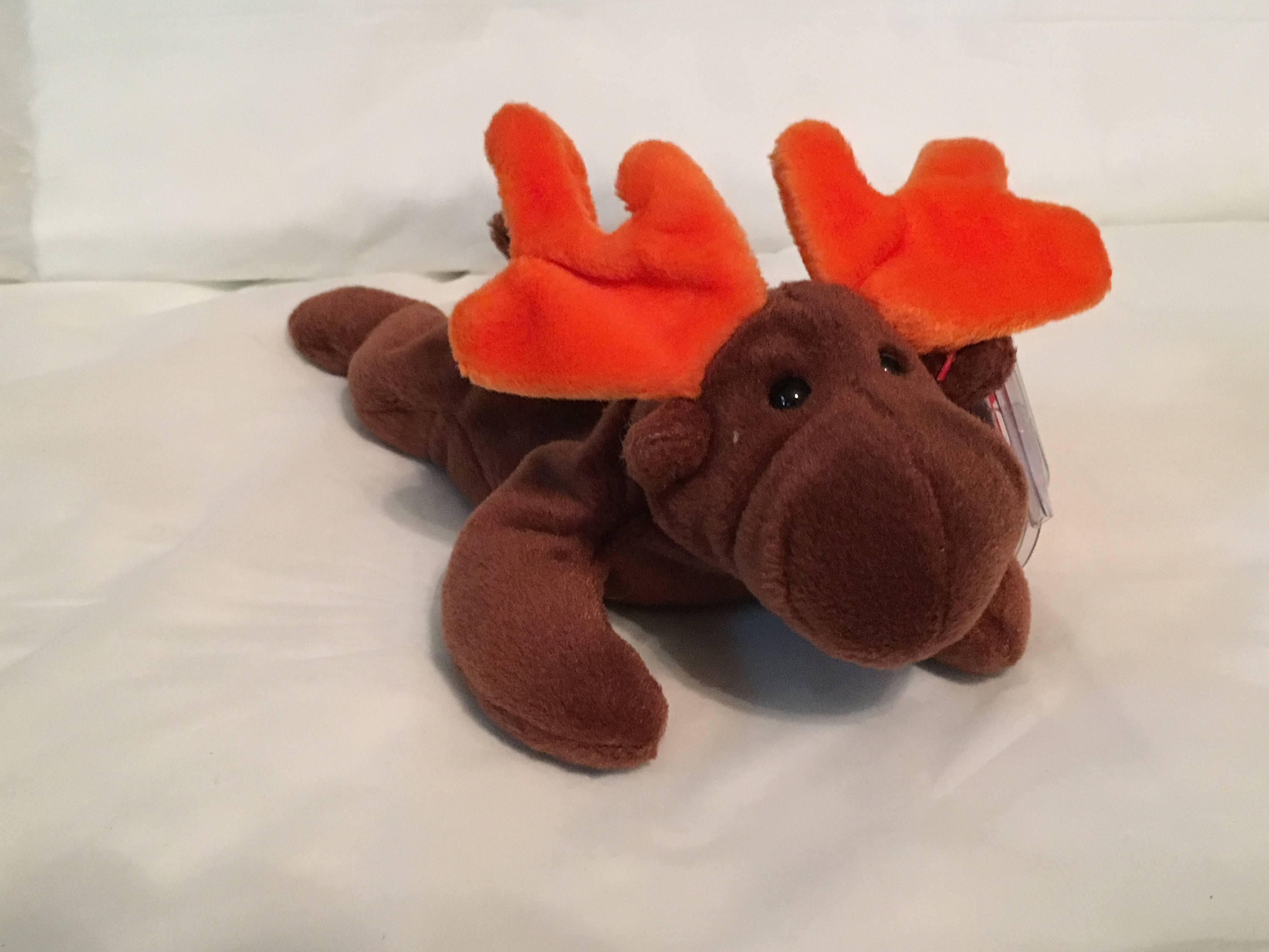 TY Beanie Baby CHOCOLATE the Moose Pristine With Mint Tags - Etsy Norway