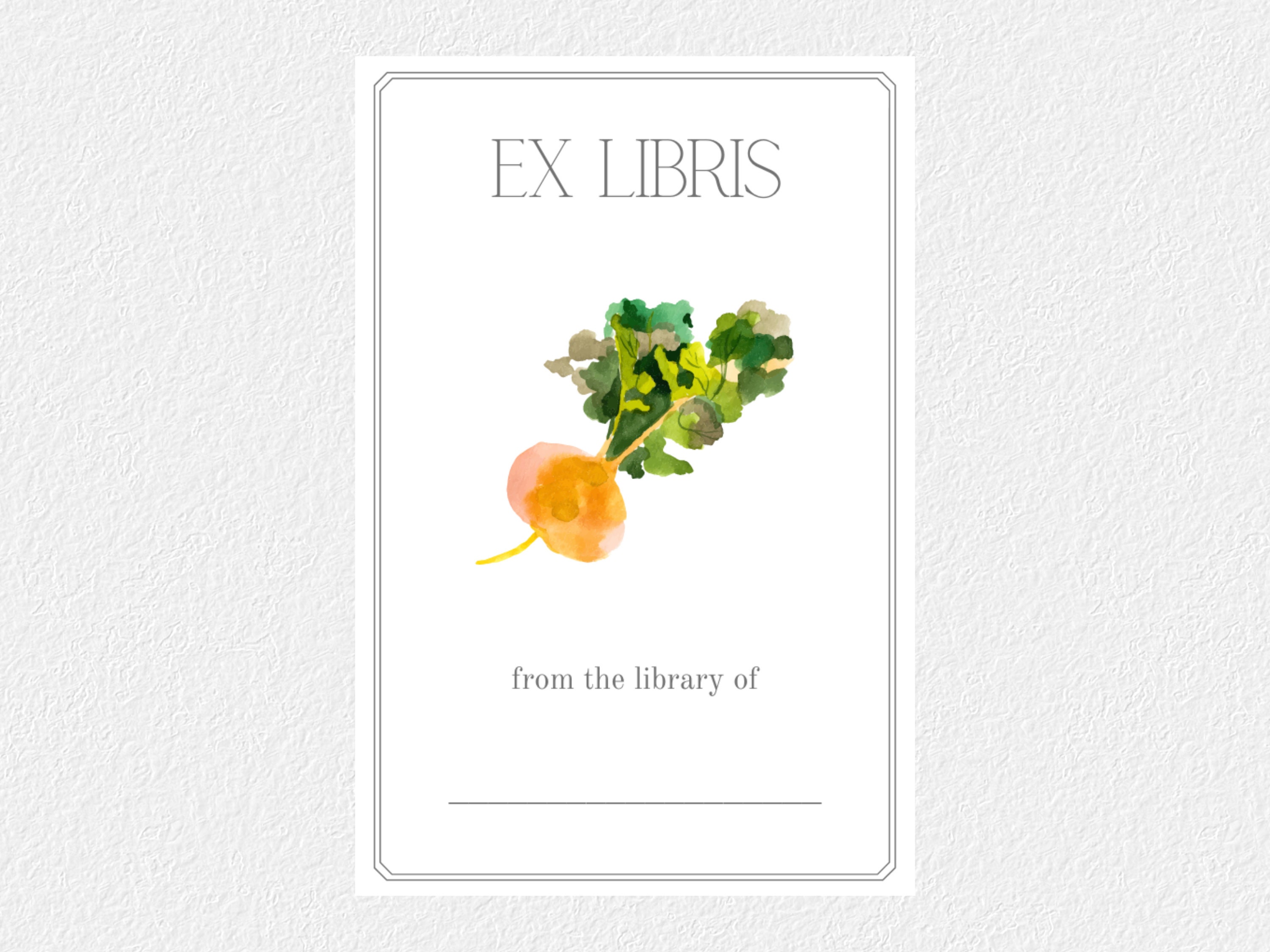Printable Ex Libris Bookplates / Easy Instant Download / Minimalist ...