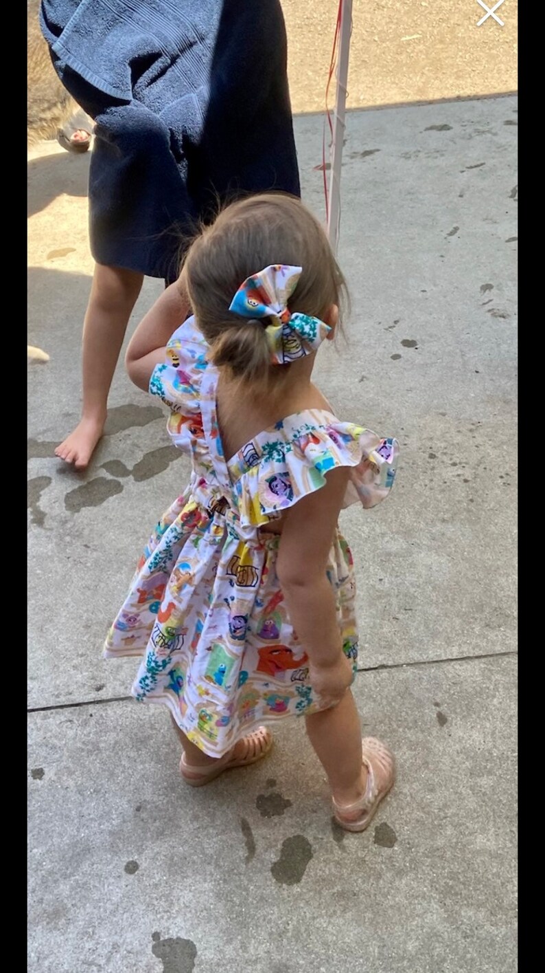 Sesame Street Inspired Dress FREE SHIPPING Made to Match - Etsy