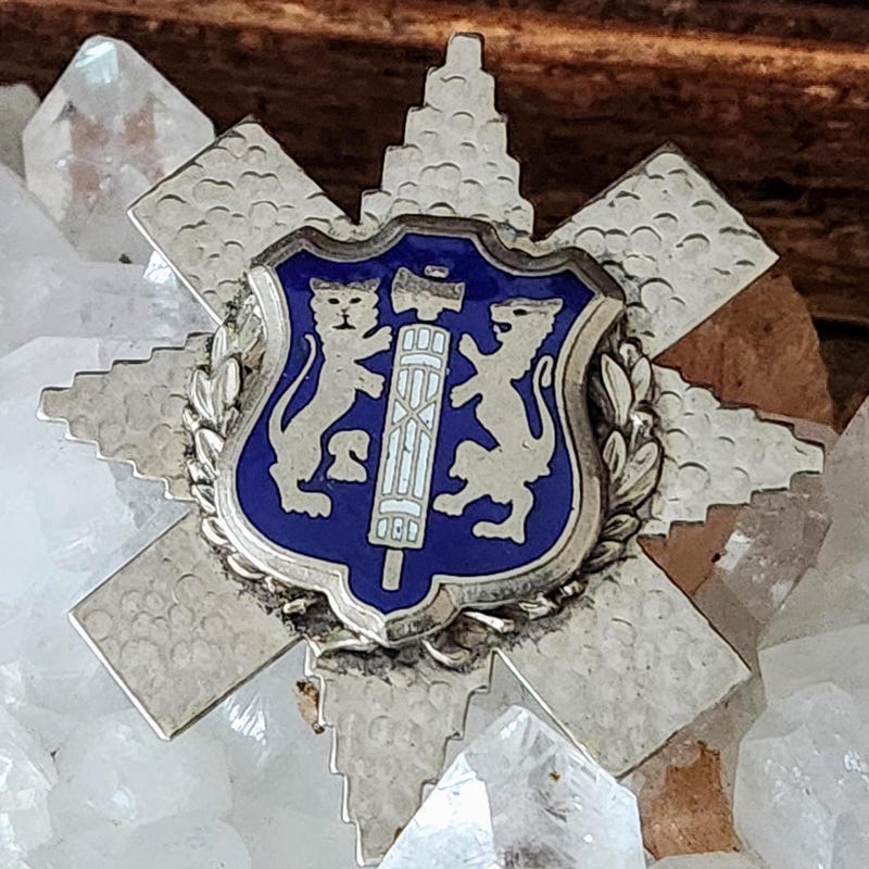 Lion Crest Brooch - Etsy