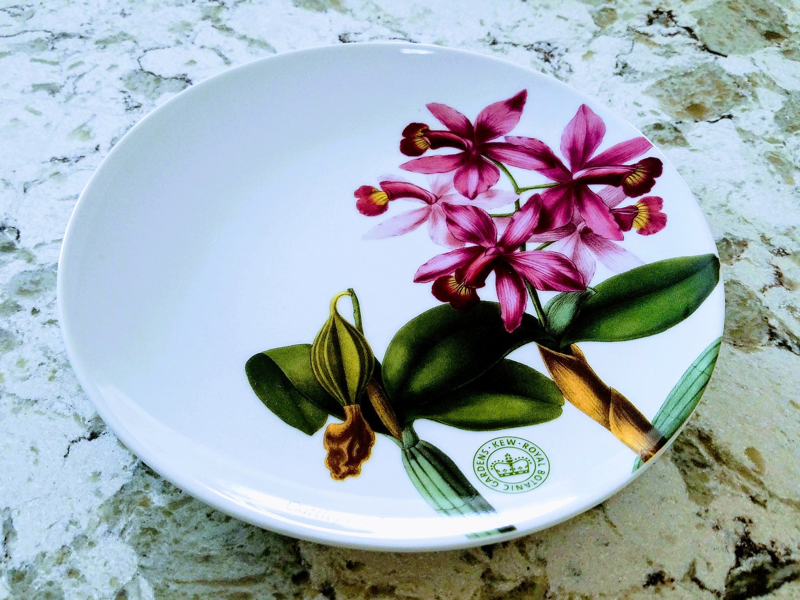 Vintage Botanical Plate8 Decorative Plateorchid | Etsy