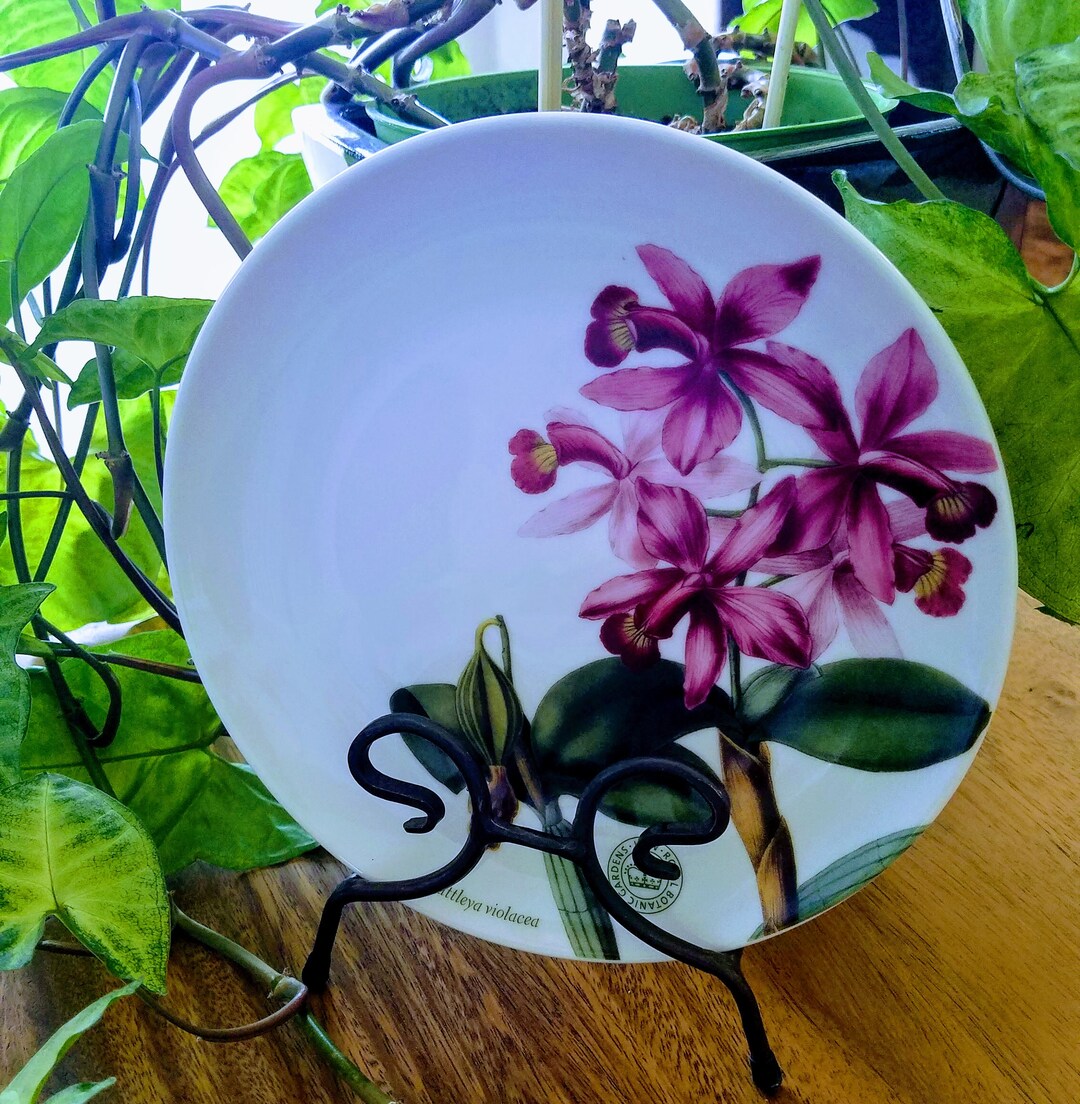 Vintage Botanical Plate8 Decorative Plateorchid Platefloral Plate ...