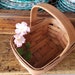 Vintage Longaberger Basketsmall Handwoven Shaker Style Basket ...