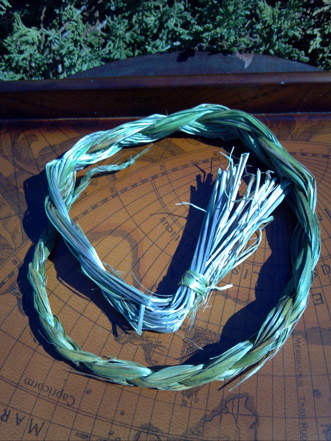 Sweet Grass Braid Sweetgrass Braid Smudge Smudging Incense - Etsy