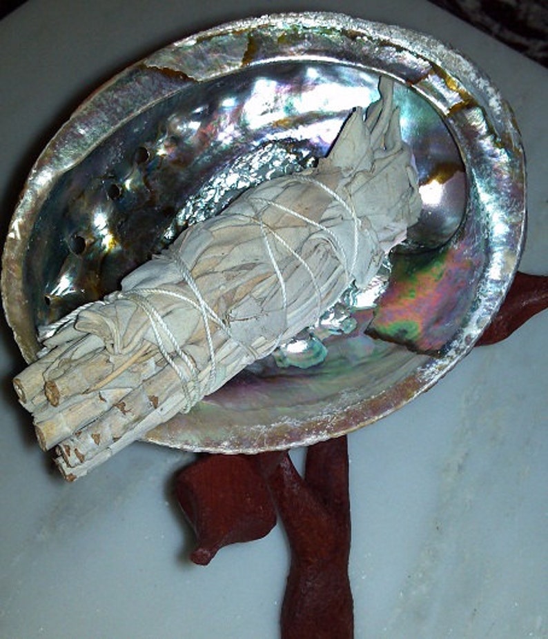 Sage Sage Smudge Sage and Abalone Shell Stand White Sage | Etsy
