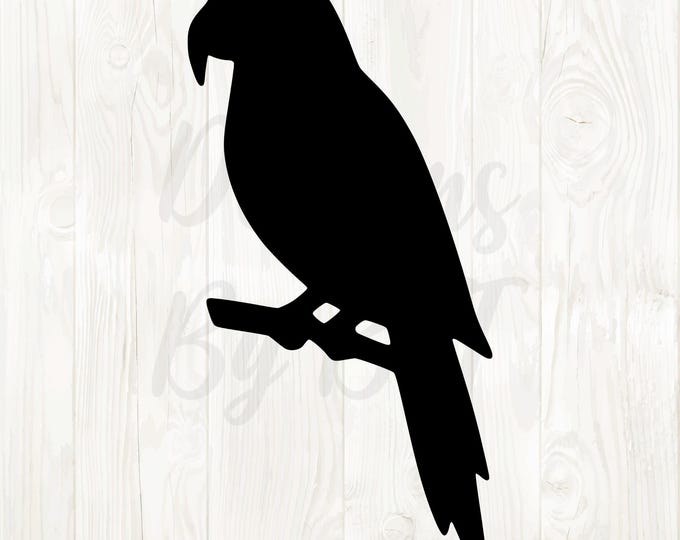 Parrot Svg File, Parrot Png, Parrot Svg for T-shirt Design, Parrot ...