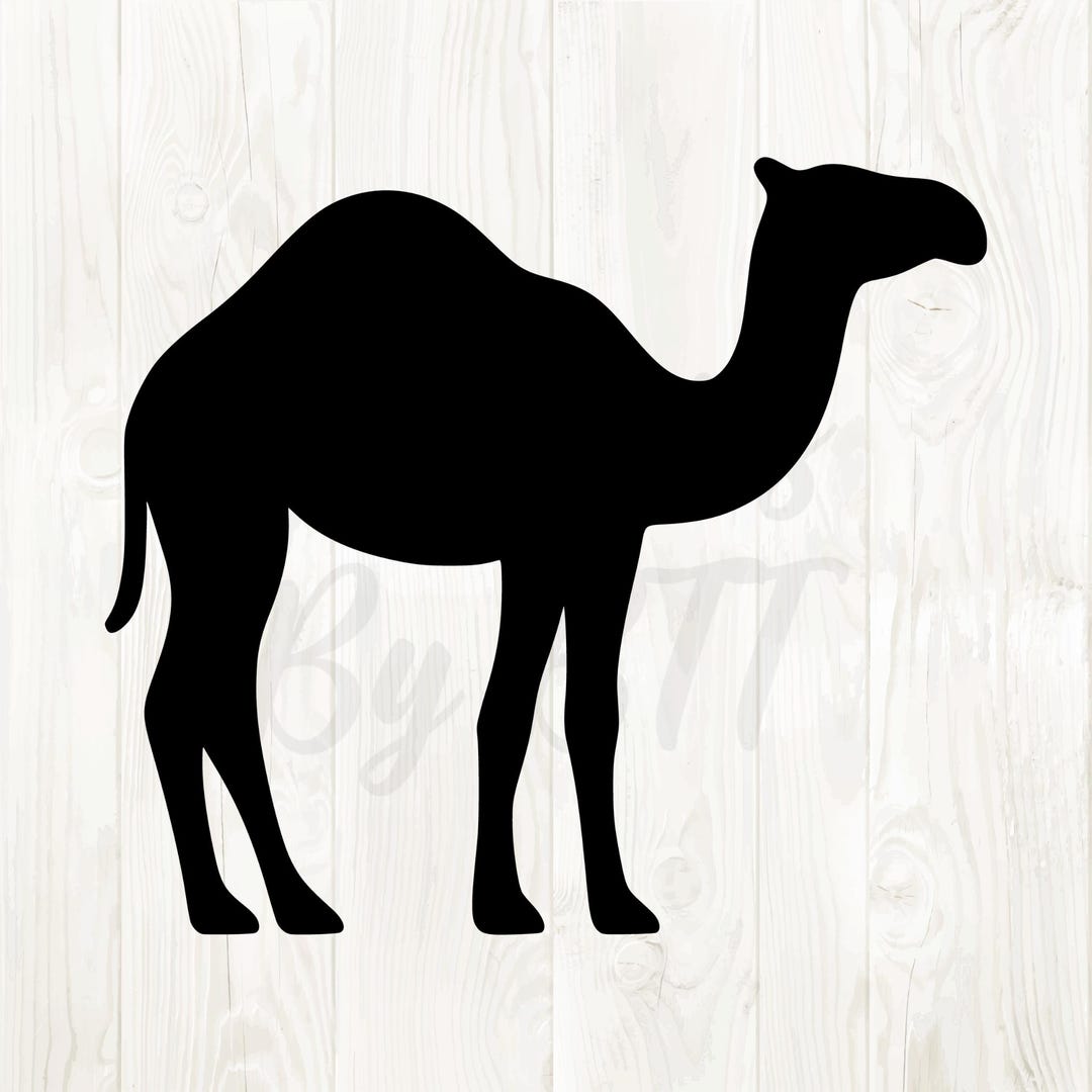 Camel Svg Files, Camel Png, Camel Silhouette Clipart, Camel Images ...