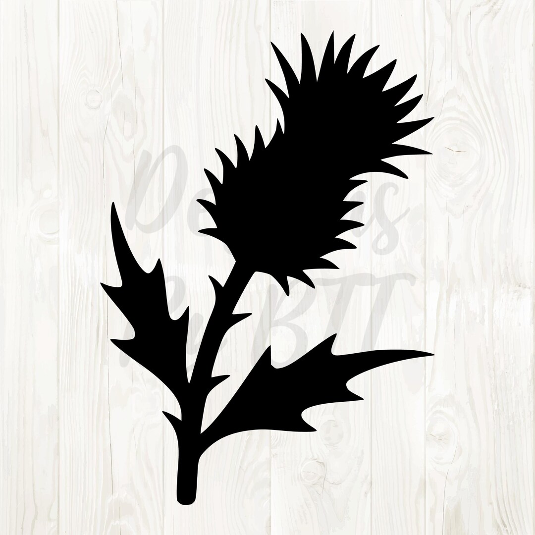 Thistle Svg, Thistle Flower Png, Thistle Clip Art, Thistle Vector ...