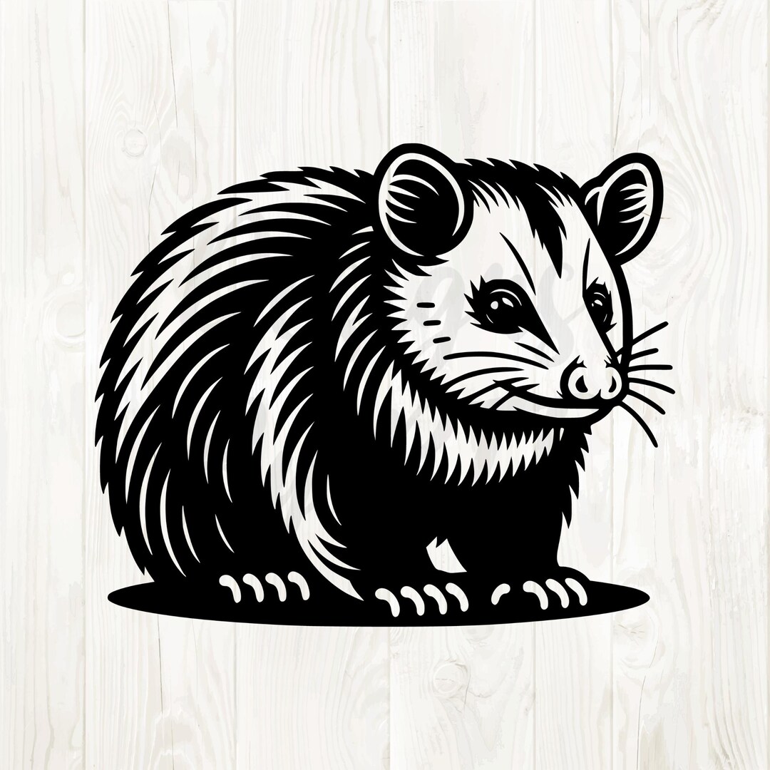 Cute Possum Png, Possum Svg Files, Cute Possum Design, Possum Digital ...