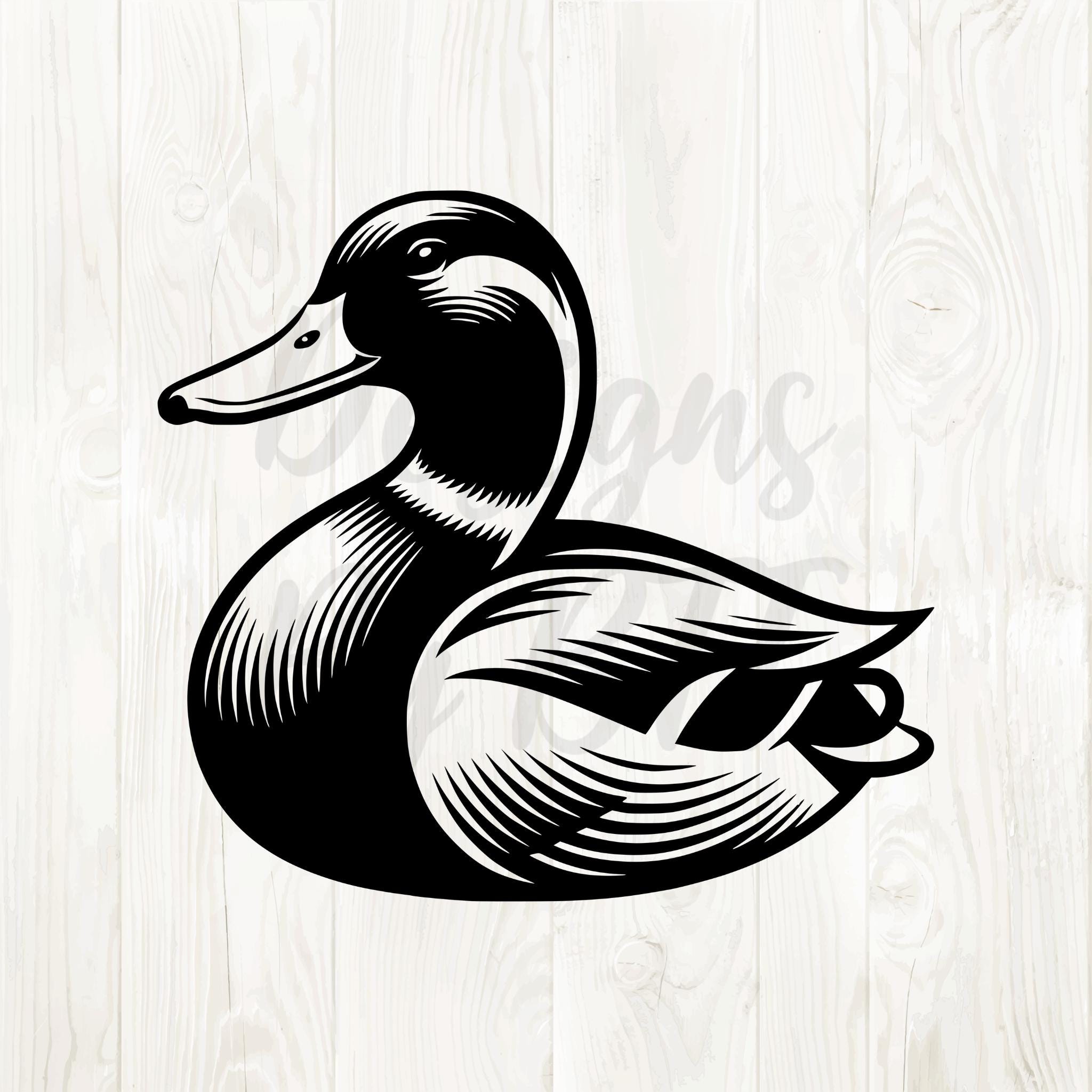 Mallard Duck Png Svg, Mallard Duck Clipart Svg, Mallard Duck Digital ...