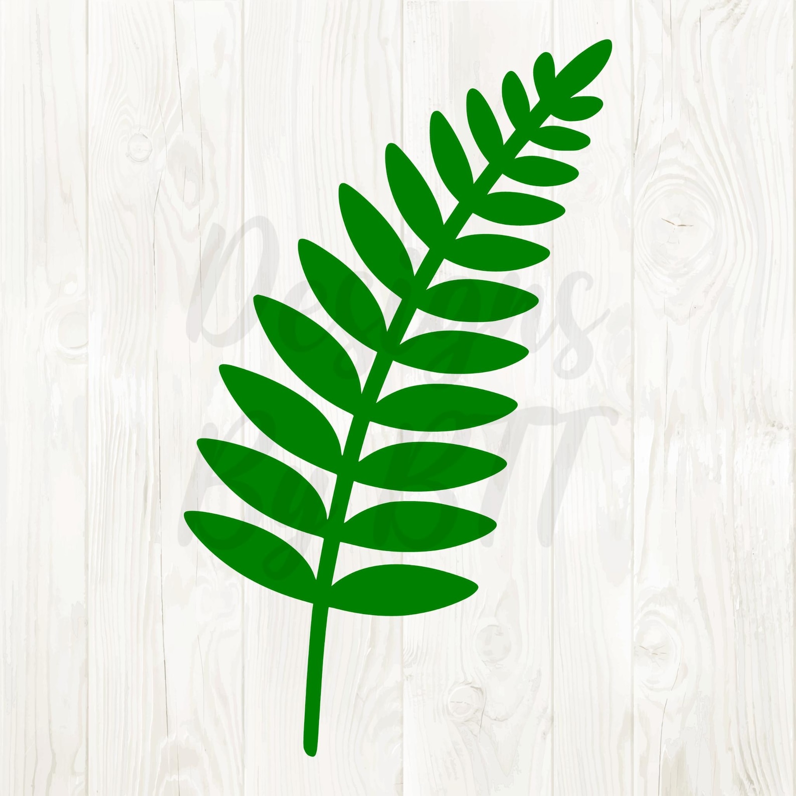 Fern Leaf Svg, Fern Leaves Svg, Fern Leaves Digital, Fern Png, Fern ...