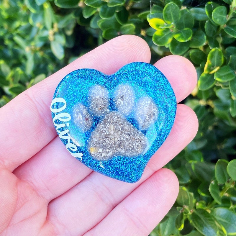 Pet Ashes - Etsy