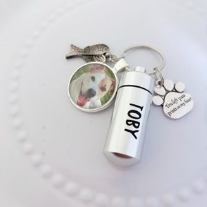 Pet Cremation Key Chain Photo Memorial Key Ring Pet Hair Key Ring for ...