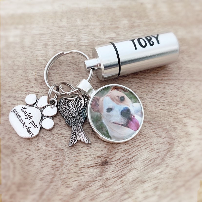 Pet Cremation Key Chain Photo Memorial Key Ring Pet Hair Key - Etsy
