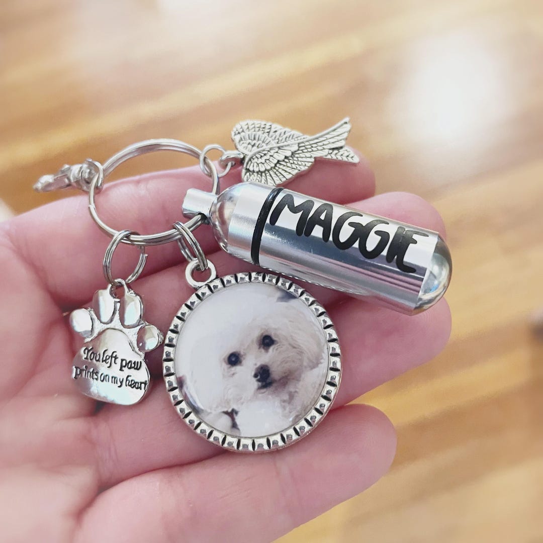 Pet Cremation Key Chain Photo Memorial Key Ring Pet Hair Key Ring for ...