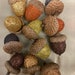 Set of 12 Acorns Glittered in Fall Colors. Colors Range From - Etsy