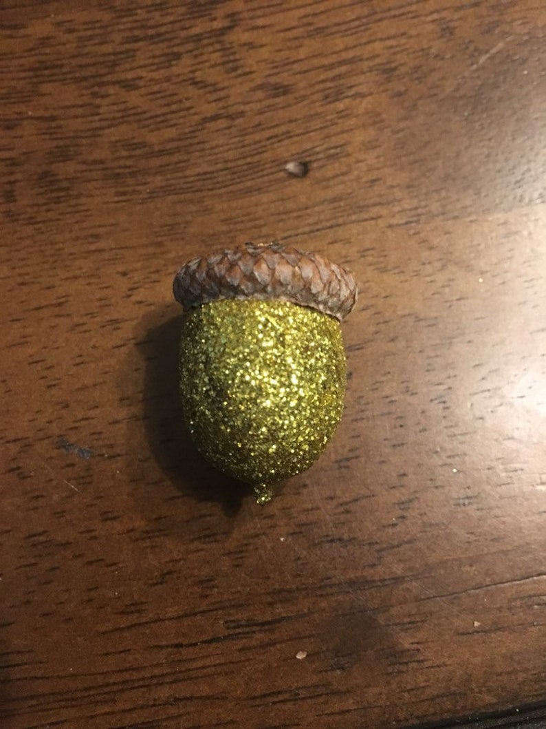 Set of 12 Acorns Glittered in Fall Colors. Colors Range From - Etsy