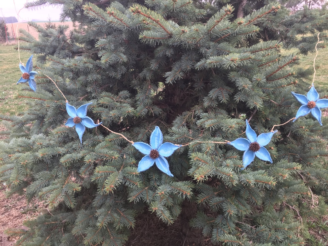 Spring Milkweed Pod and Sweetgum Flower Garland in Various Colors - Etsy