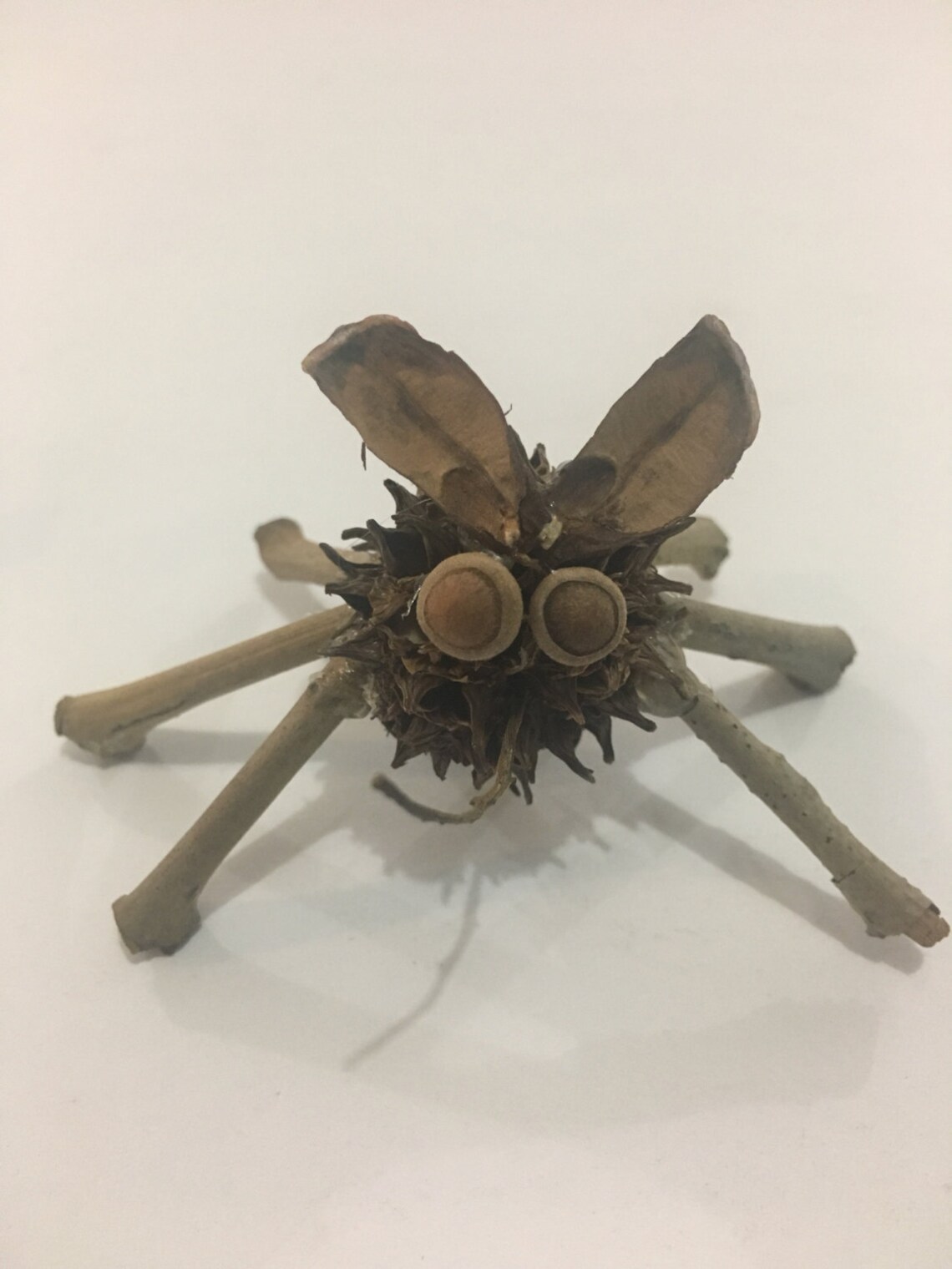 Natural Sweetgum Mosquito Ornament - Etsy