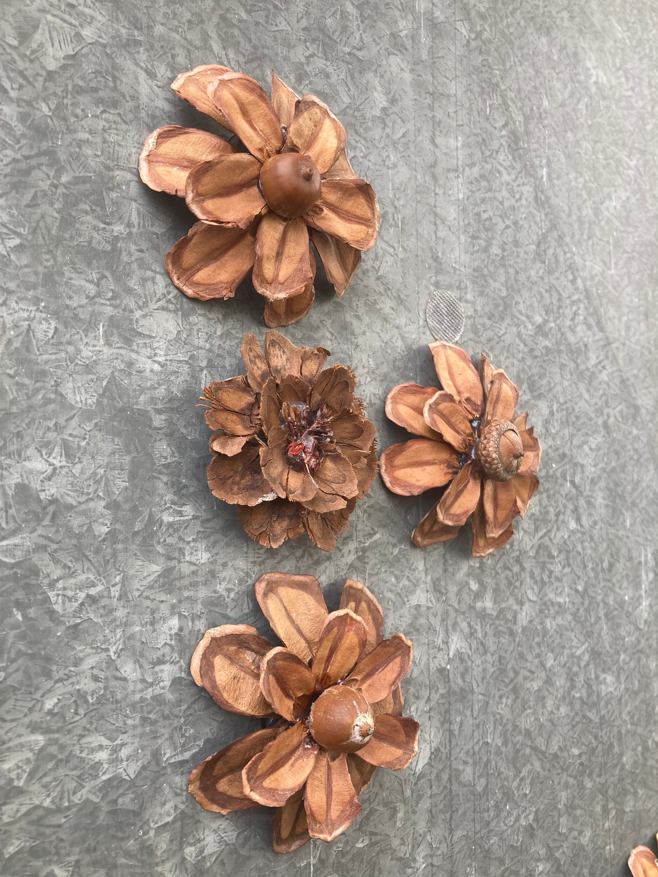 Pine Cone and Acorn Flower Blossom Magnets for Decoration and Use. - Etsy