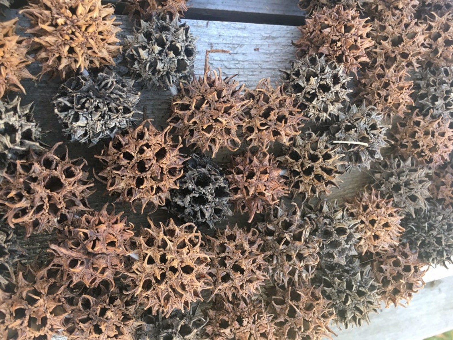 Sweetgum Garland for Natural Christmas Decorating. Strung With - Etsy