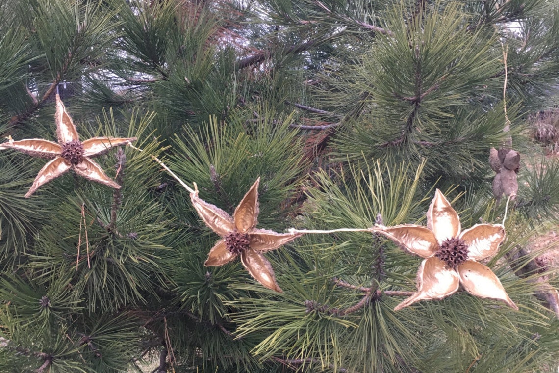 Natural Milkweed Pod and Sweetgum Flower Garland in Gold - Etsy
