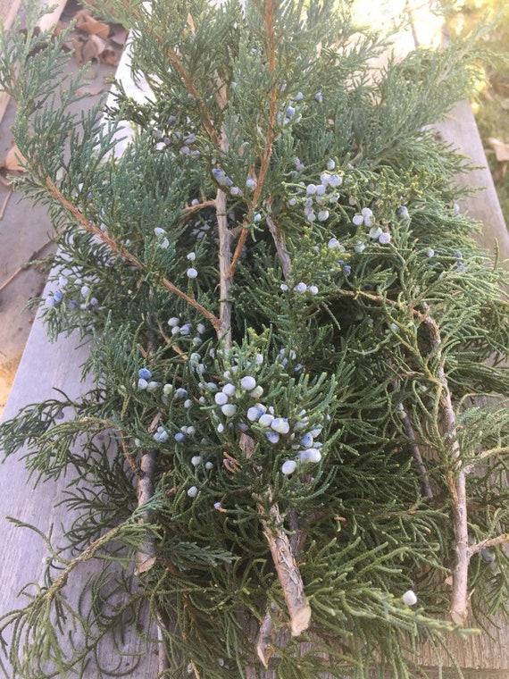 Artificial Juniper Branches