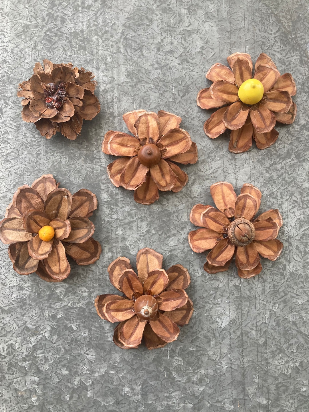 Pine Cone and Acorn Flower Blossom Magnets for Decoration and Use. - Etsy