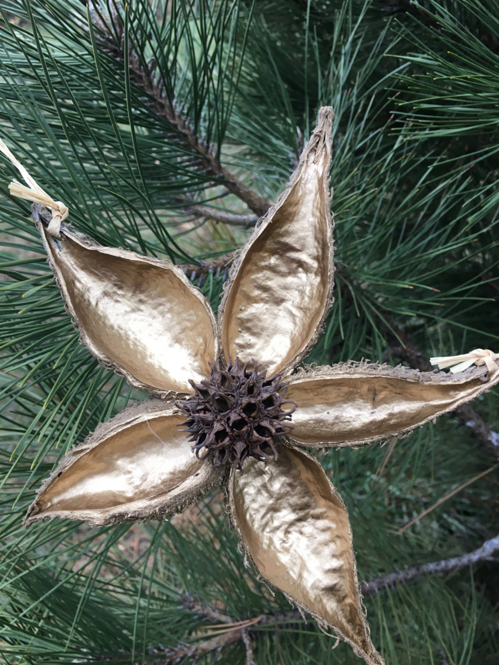 Natural Milkweed Pod and Sweetgum Flower Garland in Gold - Etsy