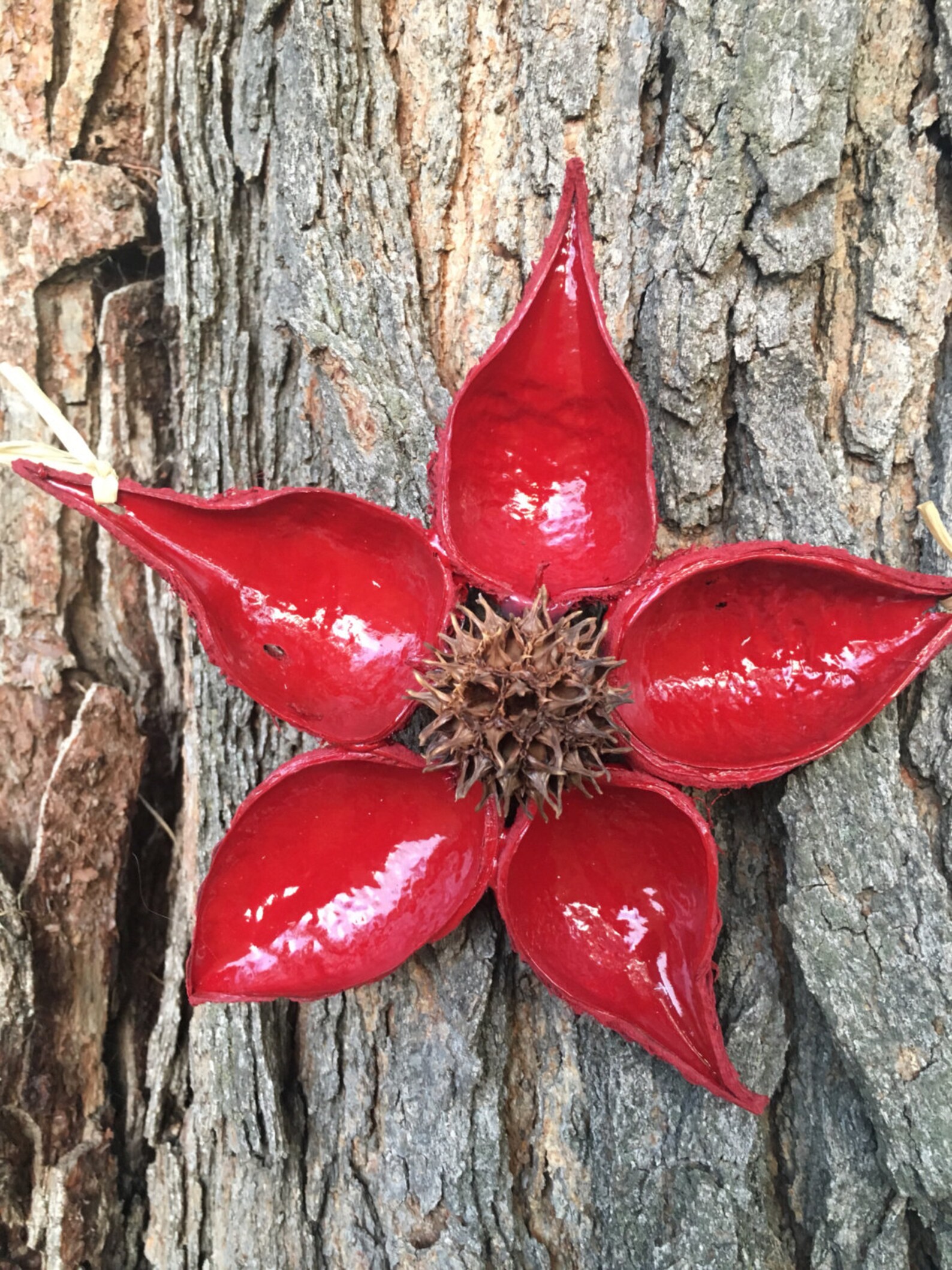 Spring Milkweed Pod and Sweetgum Flower Garland in Various | Etsy