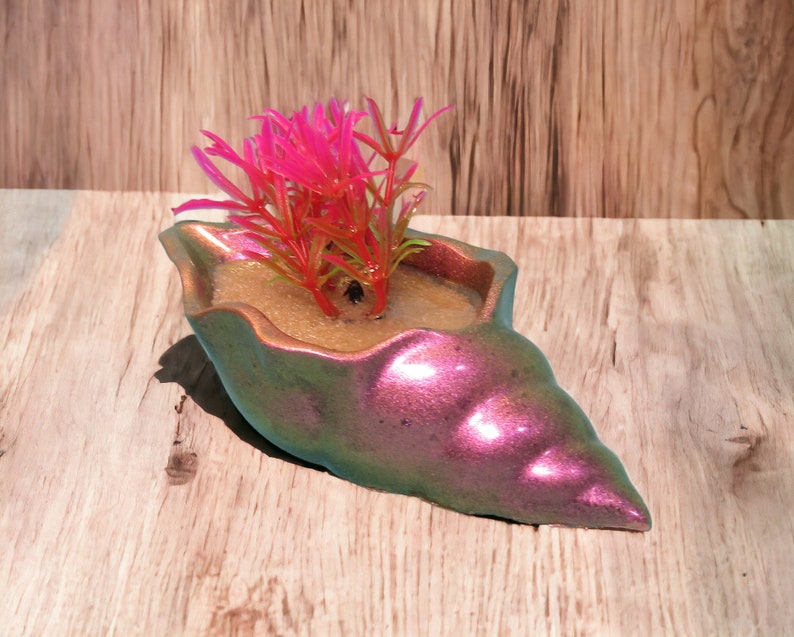 Long Shell Aquarium Decoration. Light Pink With Pink and Green ...