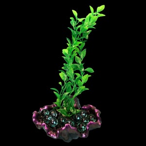 Jumbo Scalloped Shell Aquarium Decoration. Purple With Blue Glass ...