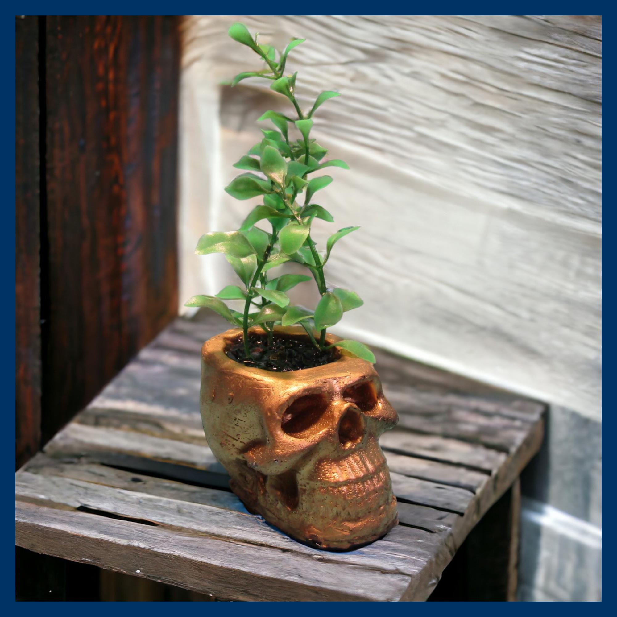 Large Zombie Skull Aquarium Decoration With Tall Artificial Plant ...