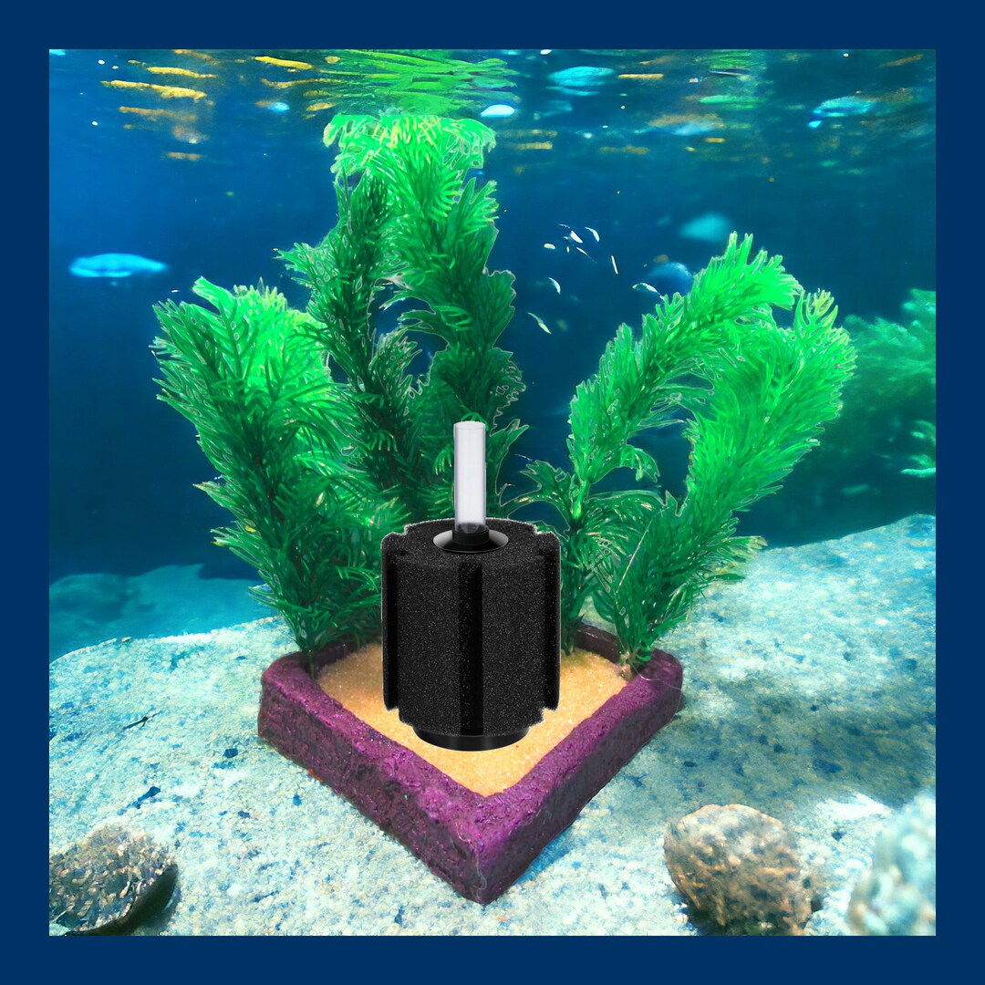 Corner Filter Base Hides Small Sponge Filters in Aquarium. Blue-purple ...