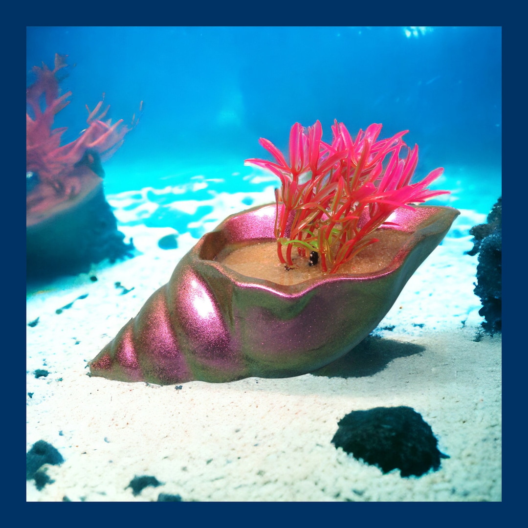 Long Shell Aquarium Decoration. Light Pink With Pink and Green ...