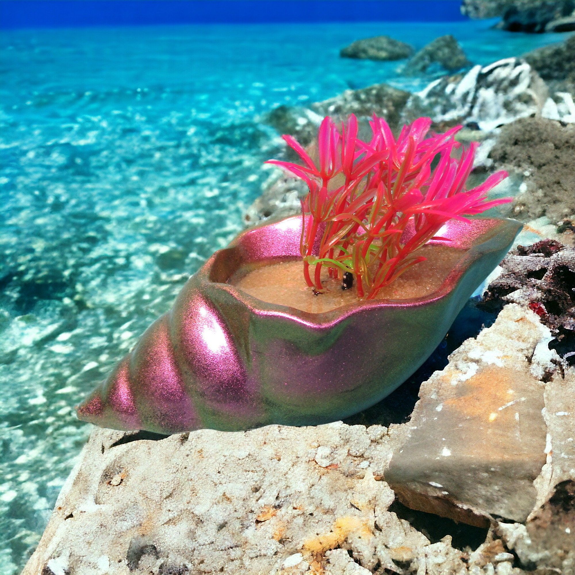 Long Shell Aquarium Decoration. Light Pink With Pink and Green ...