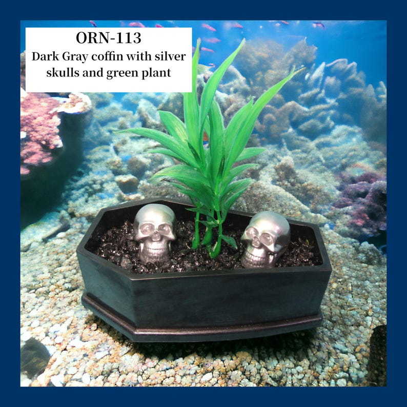 Skull Coffin Aquarium Decoration With Plant. Choice of Color & Style ...