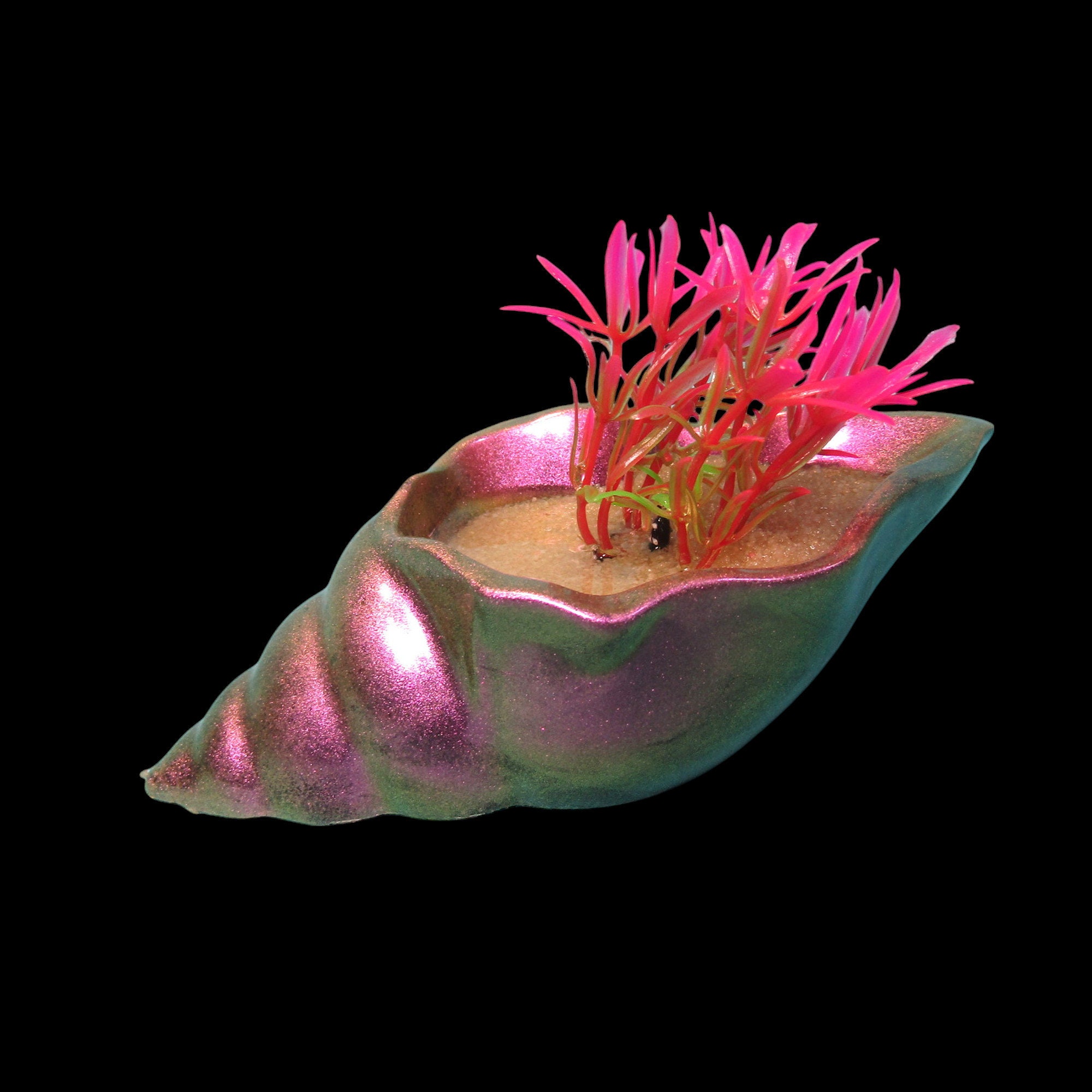 Long Shell Aquarium Decoration. Light Pink With Pink and Green ...