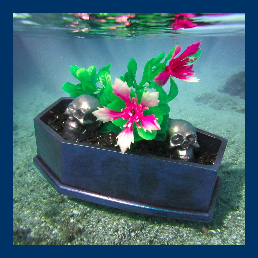 Skulls Coffin Aquarium Decoration. Blue With Flowering Artificial ...