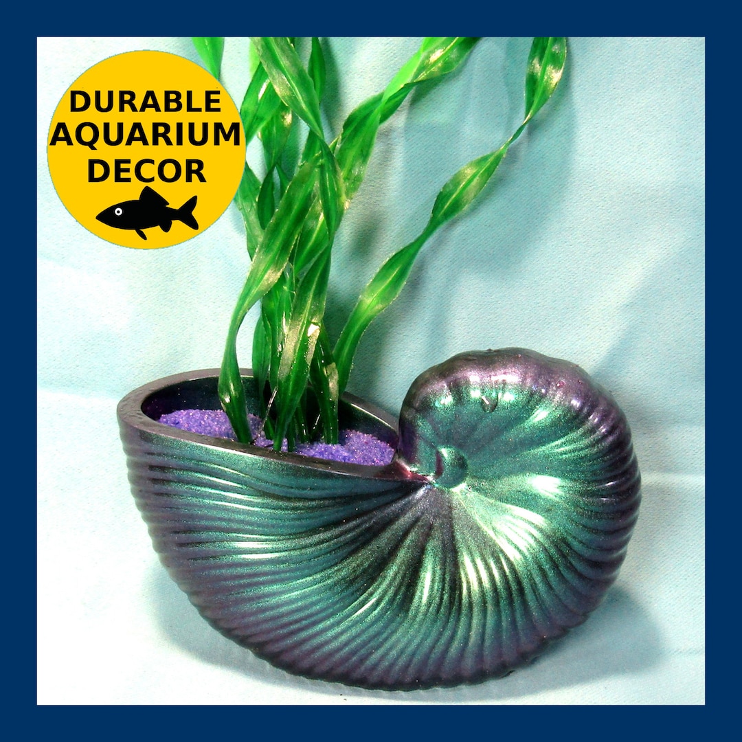 Jumbo Colorful Snail Shell Aquarium Decoration With Tall Green ...
