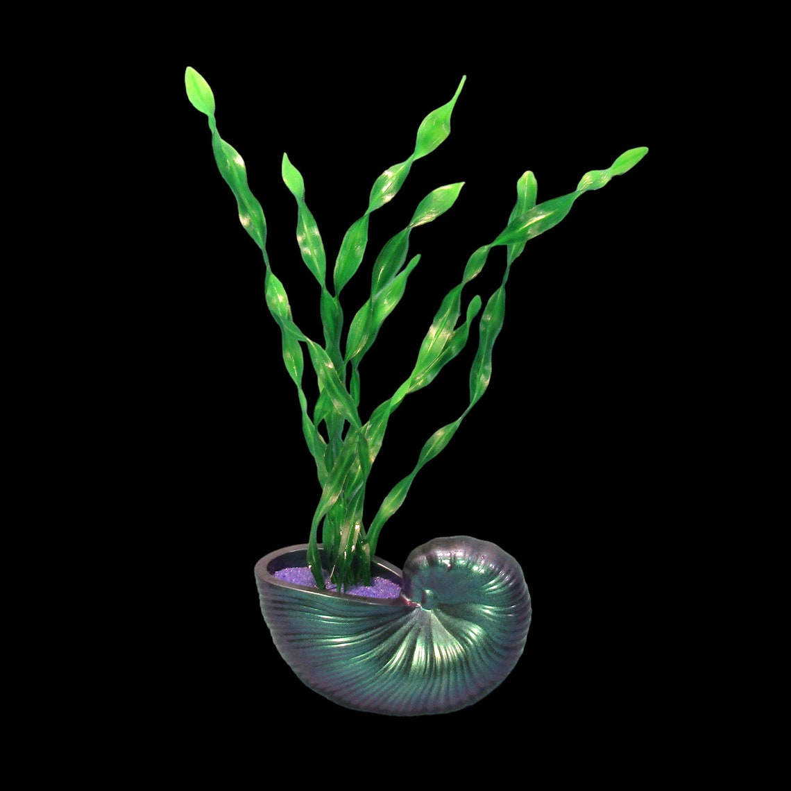 Jumbo Snail Shell Aquarium Decoration. Peacock With Tall Green ...