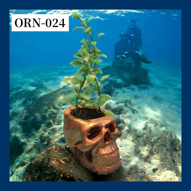 Large Zombie Skull Aquarium Decoration With Tall Artificial Plant ...