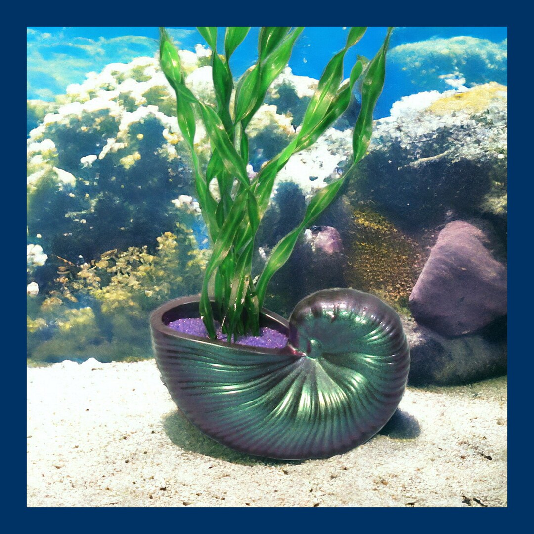 Jumbo Snail Shell Aquarium Decoration. Peacock With Tall Green ...
