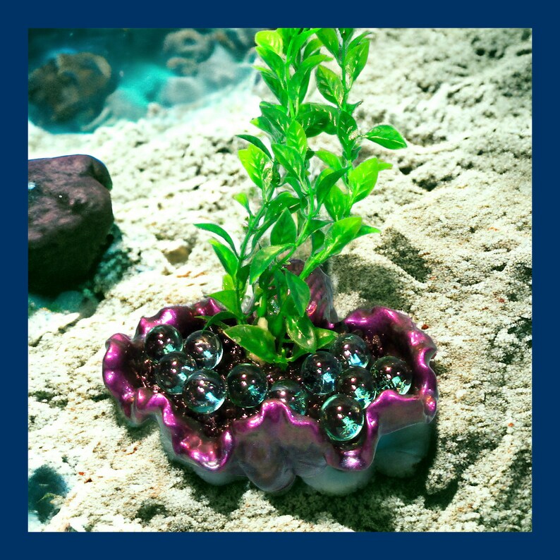 Jumbo Scalloped Shell Aquarium Decoration. Purple With Blue Glass ...