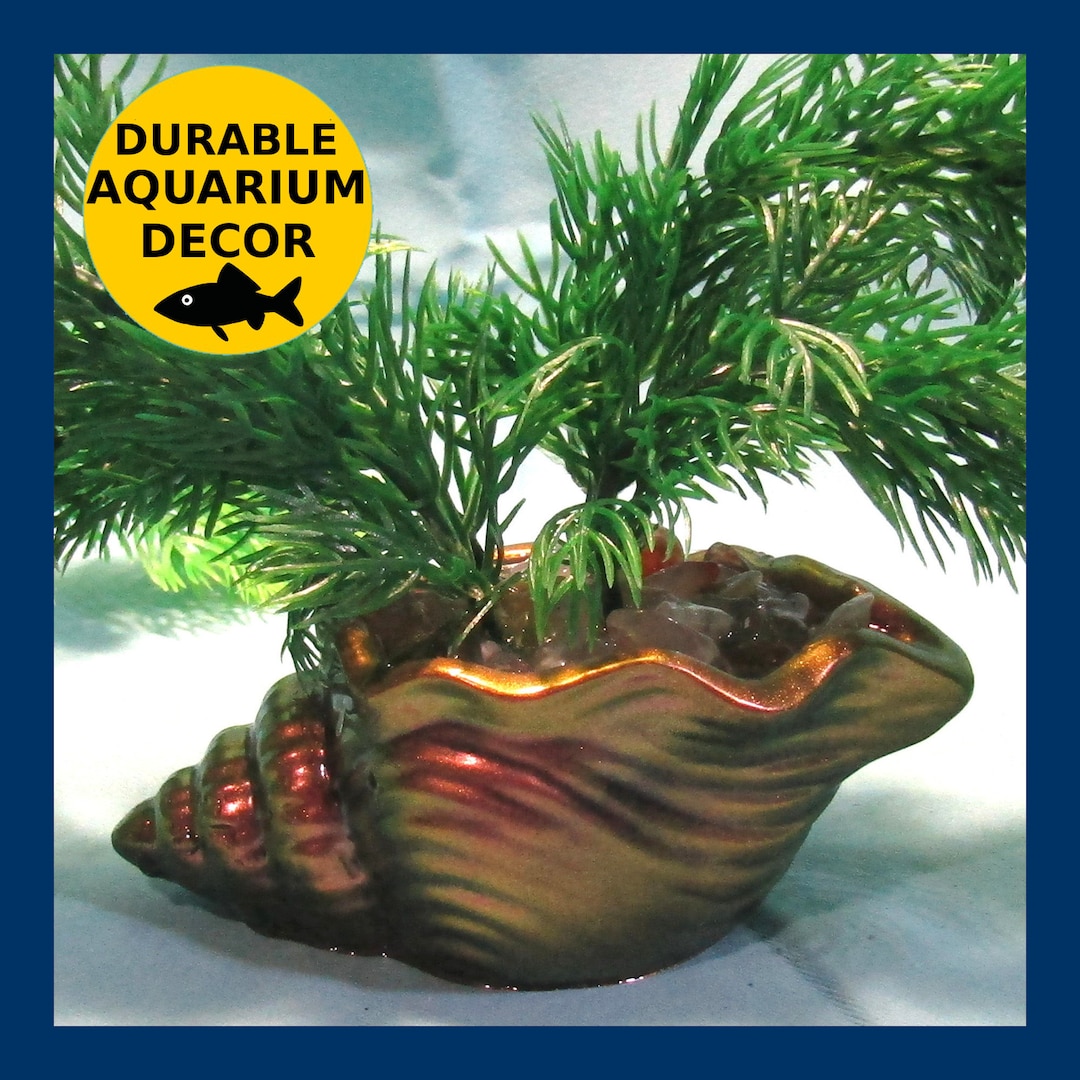 Conch Shell Aquarium Decoration. Gold Large Shell With Tall Green ...