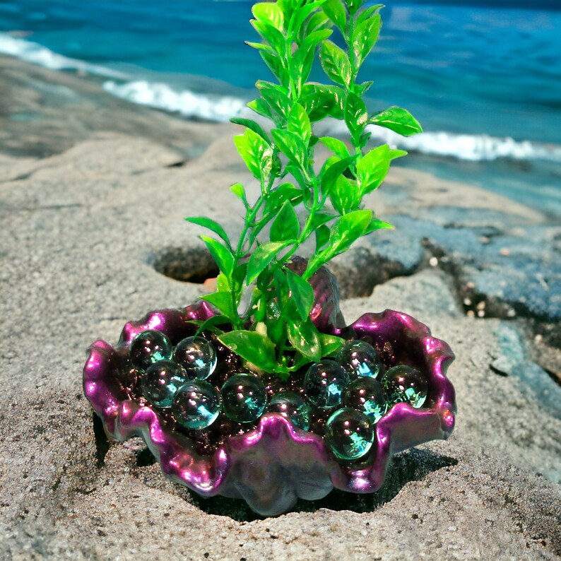 Jumbo Scalloped Shell Aquarium Decoration. Purple With Blue Glass ...